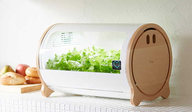 當個時尚的都市農夫！無毒健康的日系 foop 智能菜園 | La Vie