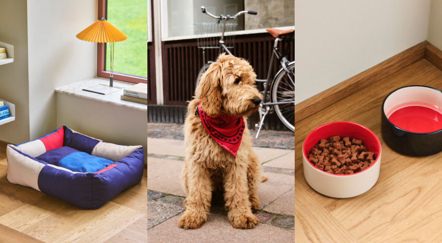 HAY推出寵物用品系列「HAY DOGS」！活潑色彩延續品牌風格、多種尺寸顏色讓每隻狗狗都適用 | La Vie